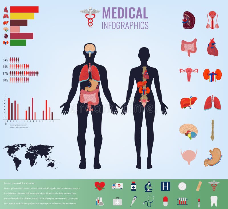 Medical Infographic Set with Charts and Other Elements. Vector Stock ...