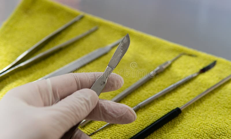 Medical Instrument for Research. Dental Tool Stock Photo - Image of ...