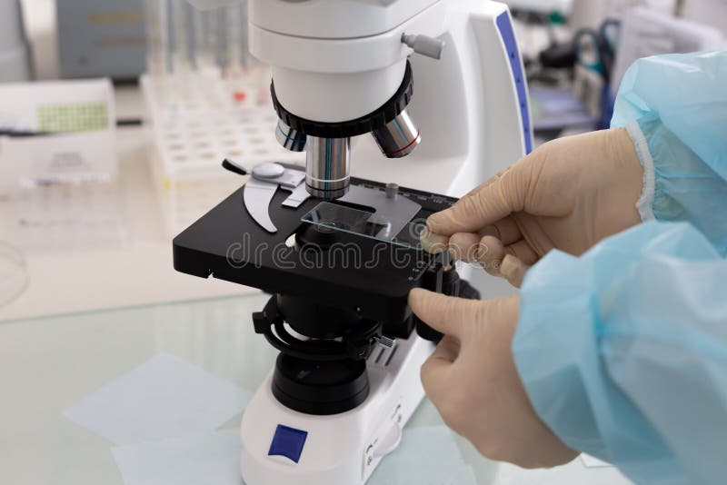 A Medical Laboratory Assistant Inserts a Glass Slide into a Microscope ...