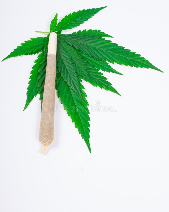 Medical marijuana. stock image. Image of herbal, legalize - 77792681