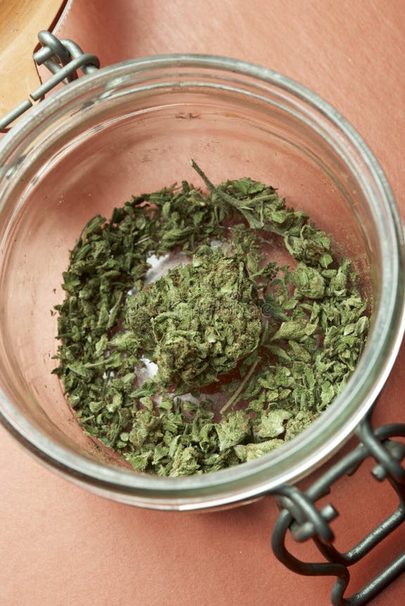 Medical Marijuana stock photo. Image of agriculture, drug - 31277444
