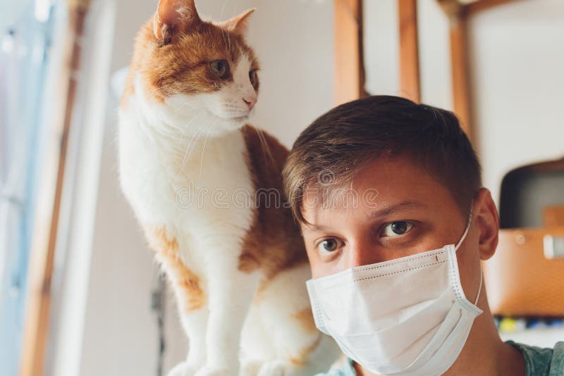 Medical Mask for Cat. Virus Protected Cat. Isolated Cat at Home. Stock ...