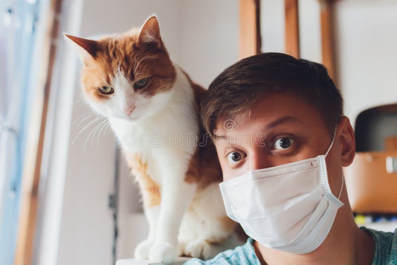 Medical Mask for Cat. Virus Protected Cat. Isolated Cat at Home. Stock ...