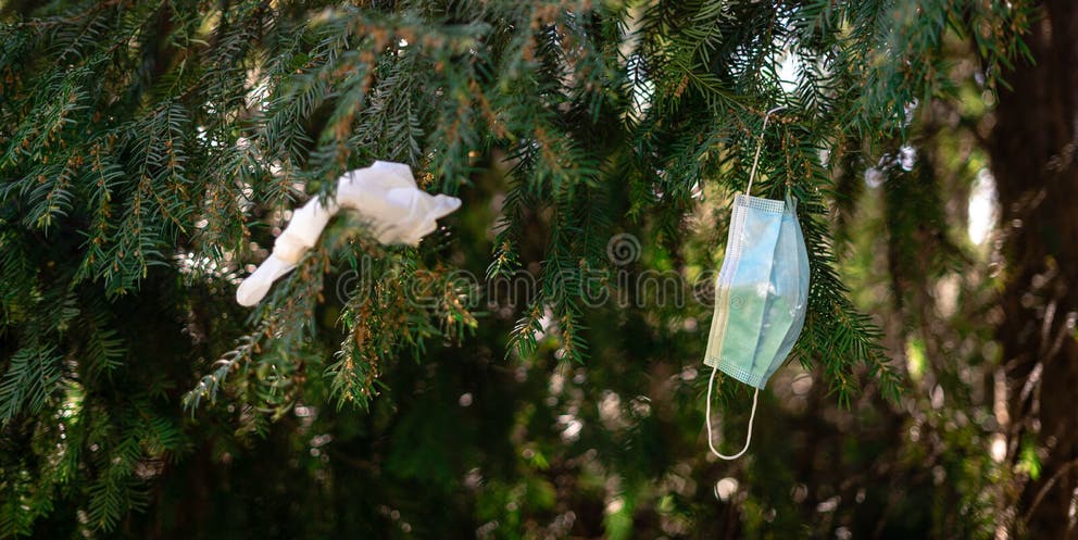 Medical Mask on the Tree Outdoors. Pollution from Covid-19 Quarantine ...