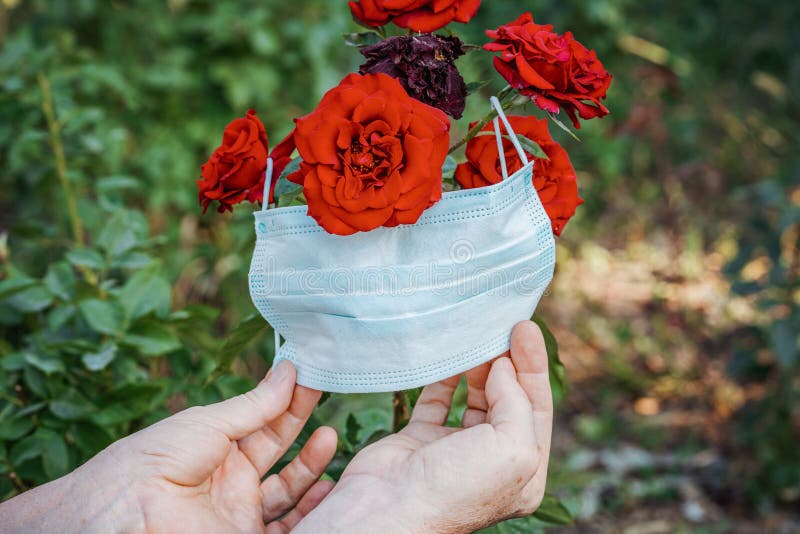 Medical Mask is Wearing a Bouquet of Roses Stock Image - Image of mask ...