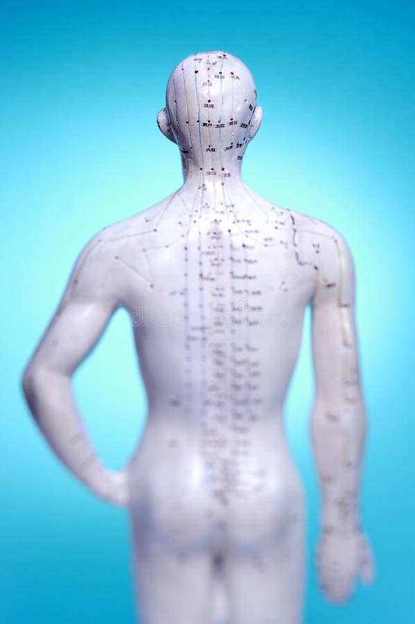 Medical Meridians Acupuncture Points Stock Image - Image of body, skull ...