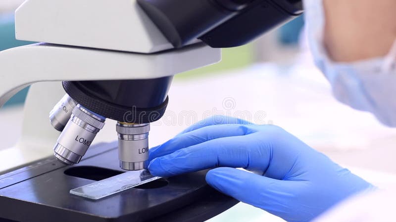 Medical Microscope for Clinical Laboratory Diagnostics and Clinical ...