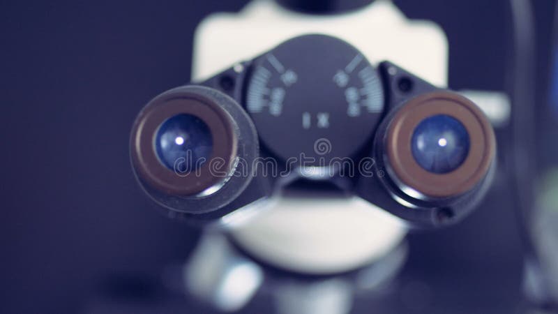 Medical, Microscope and Face with Black Woman, Research and Data ...