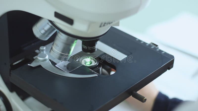 Microbiologist Working with Sample in Biomedical Laboratory Stock Video ...