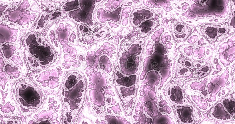 Medical Microscopic Tissue Sample with Isolated Cells Stock Photo ...