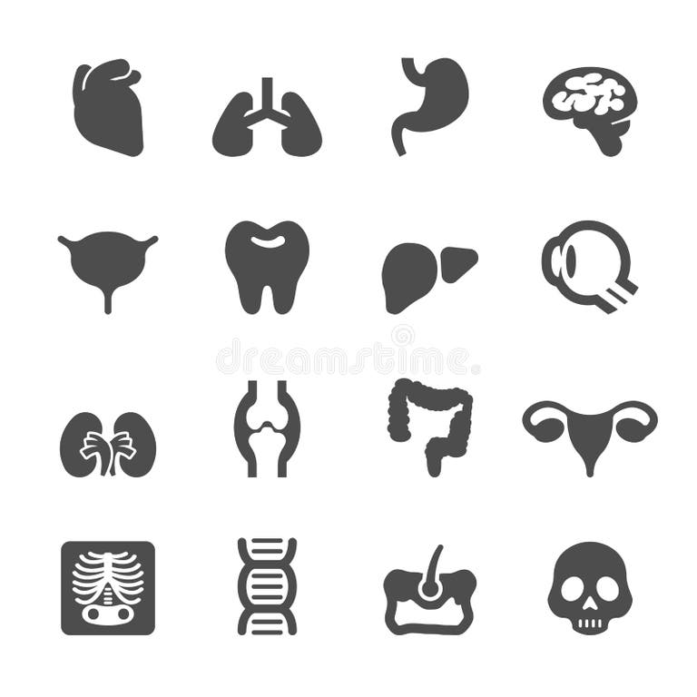 Organs Icon Stock Illustrations – 13,179 Organs Icon Stock ...
