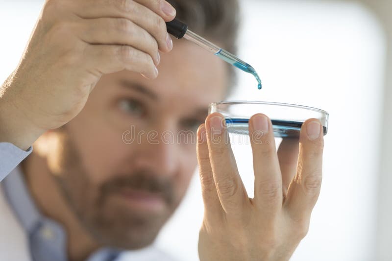 Ultrasonic medical exam stock image. Image of medical - 2932951