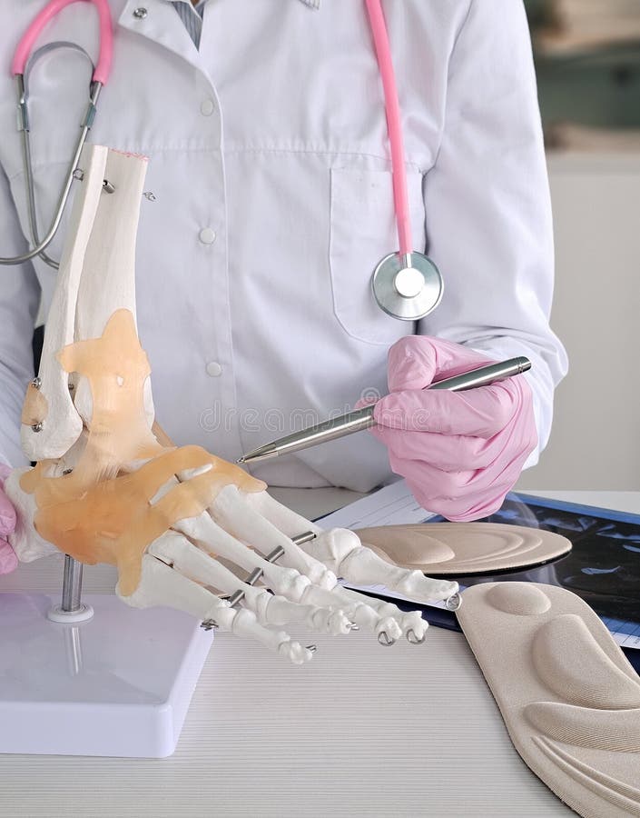 Medical Professional Demonstrates Foot Anatomy Using a Model Stock ...