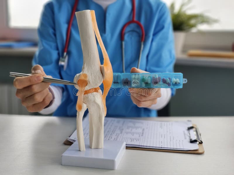 Medical Professional Demonstrating Knee Joint Anatomy Using a Model ...