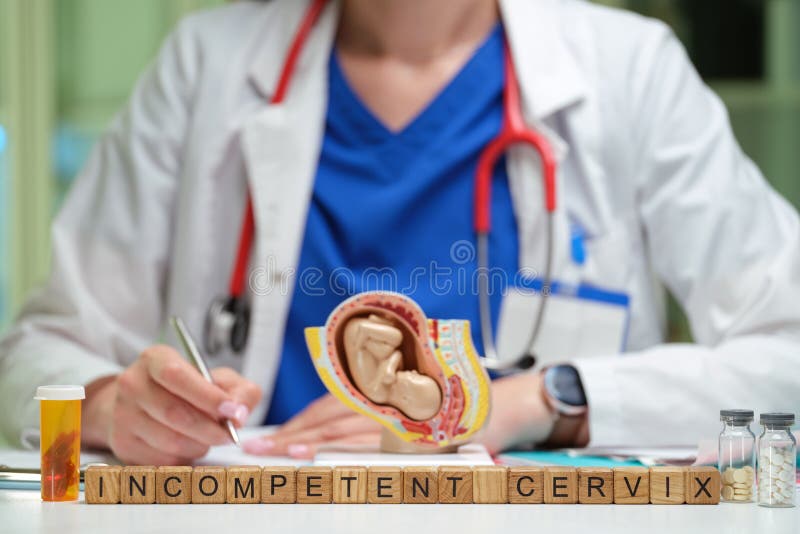 A Medical Professional Evaluating an Incompetent Cervix Utilizing a ...