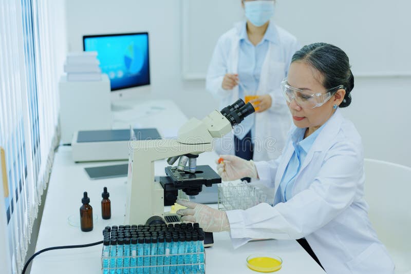 Scientists Analyze Chemical Samples Discuss Technological Innovations ...