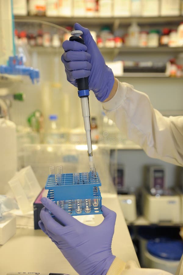 Medical research scientist stock photo. Image of cancer - 24828066