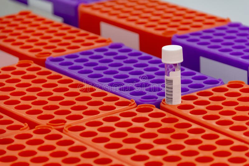 Medical sample racks stock photo. Image of chemistry - 135789096