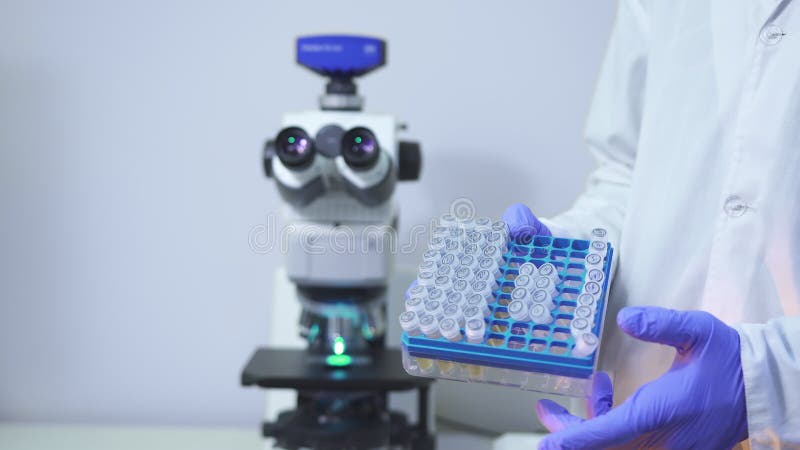 Medical Scientist Showing Box Tray with Test Small Test Tubes with ...
