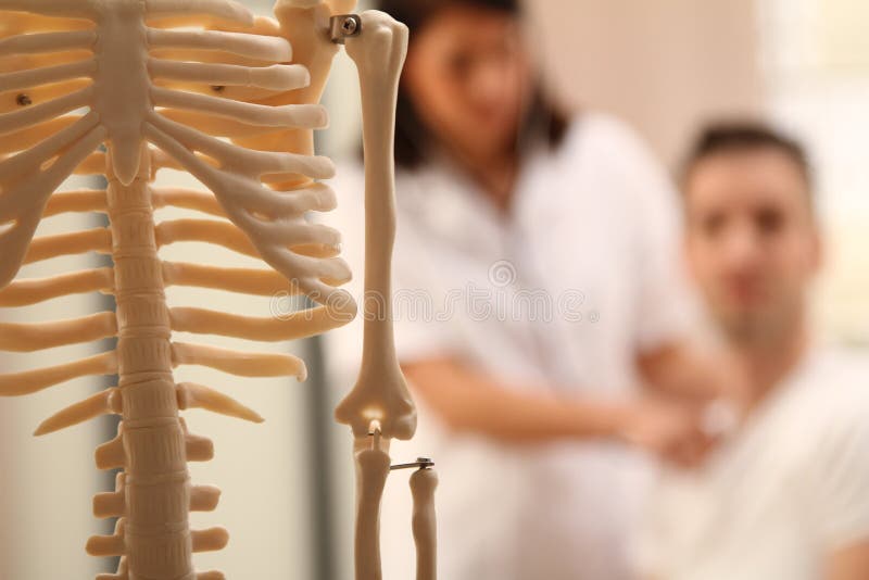 Medical Skeleton stock image. Image of nurse, practise - 16176717