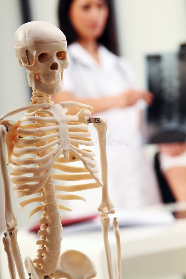 Waiting for a phone call stock photo. Image of skeleton - 26082662