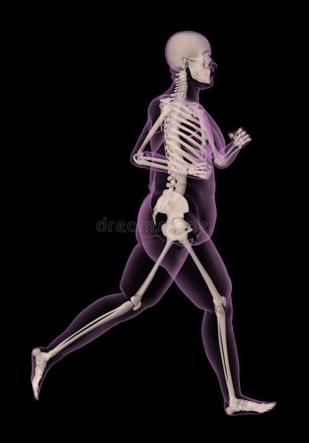 Medical Skeleton of an Overweight Woman Running Stock Illustration ...