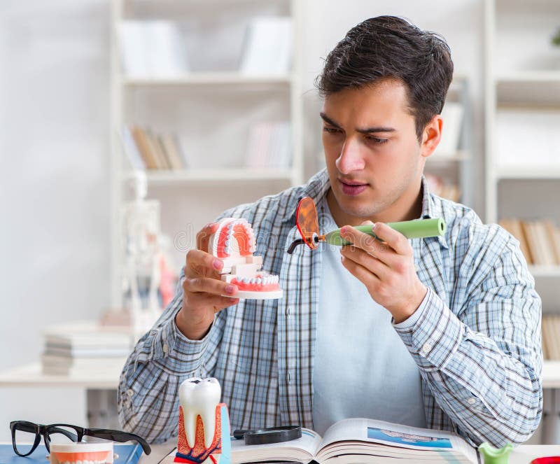 Medical Student Learning Dentistry in Classroom Stock Photo - Image of ...