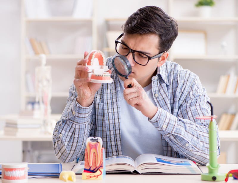 Medical Student Learning Dentistry in Classroom Stock Photo - Image of ...