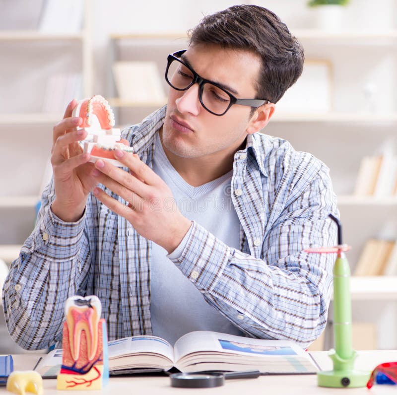 Medical Student Learning Dentistry in Classroom Stock Photo - Image of ...