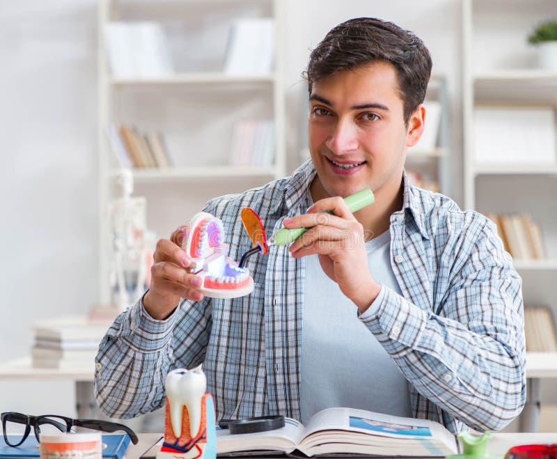 Medical Student Learning Dentistry in Classroom Stock Photo - Image of ...