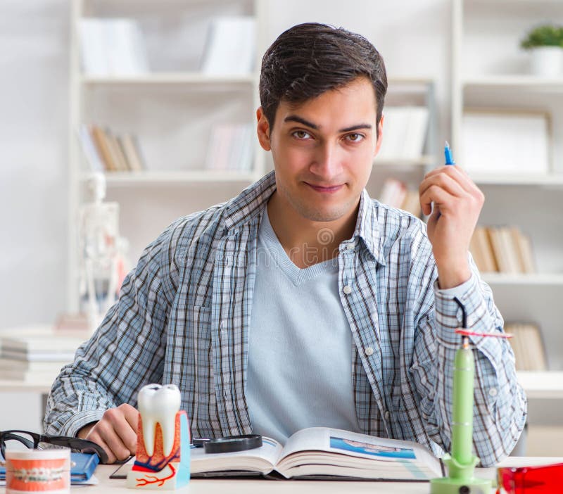 Medical Student Learning Dentistry in Classroom Stock Image - Image of ...