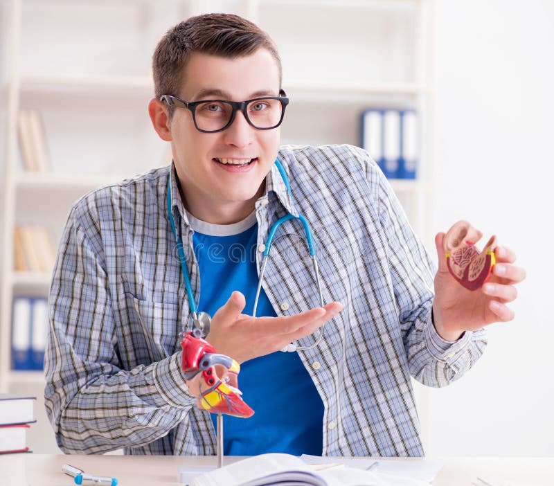 Medical Student Studying Heart in Classroom during Lecture Stock Image ...