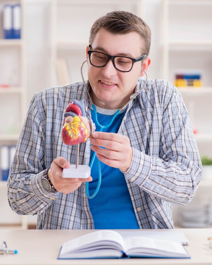 Medical Student Studying Heart In Classroom During Lecture Stock Photo ...