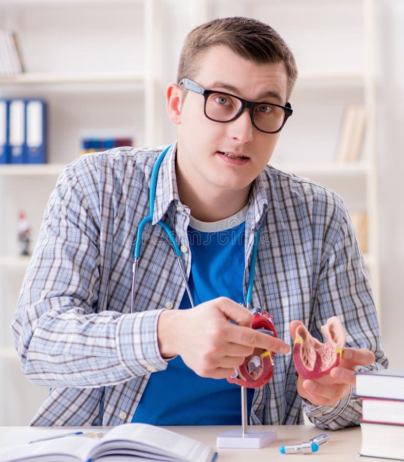 The Medical Student Studying Heart in Classroom during Lecture Stock ...