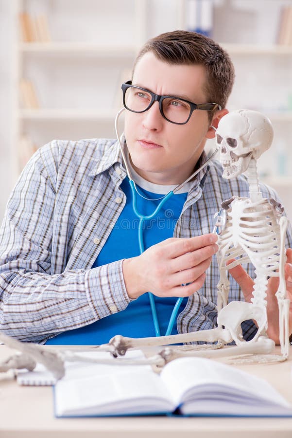 The Medical Student Studying Skeleton in Classroom during Lecture Stock ...