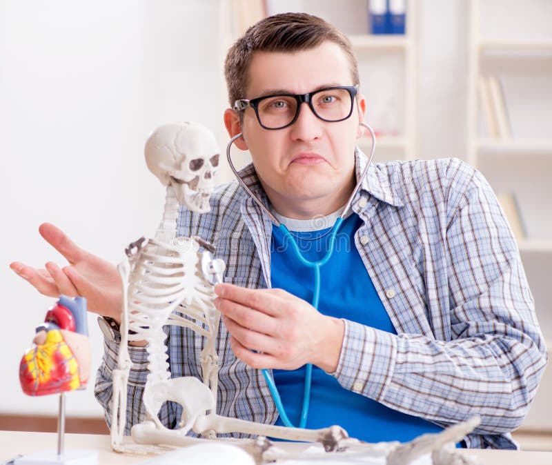 Medical Student Studying Skeleton in Classroom during Lecture Stock ...