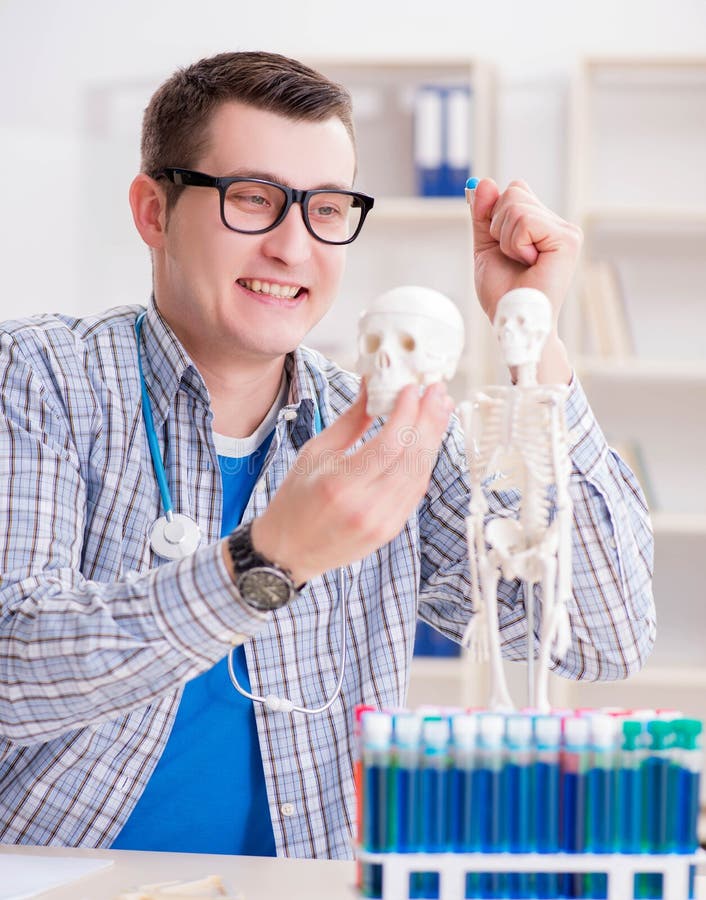 Medical Student Studying Skeleton in Classroom during Lecture Stock ...