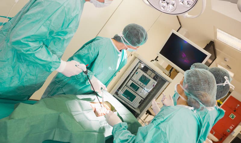 Medical Students Practicing Surgery on Model Stock Image - Image of ...
