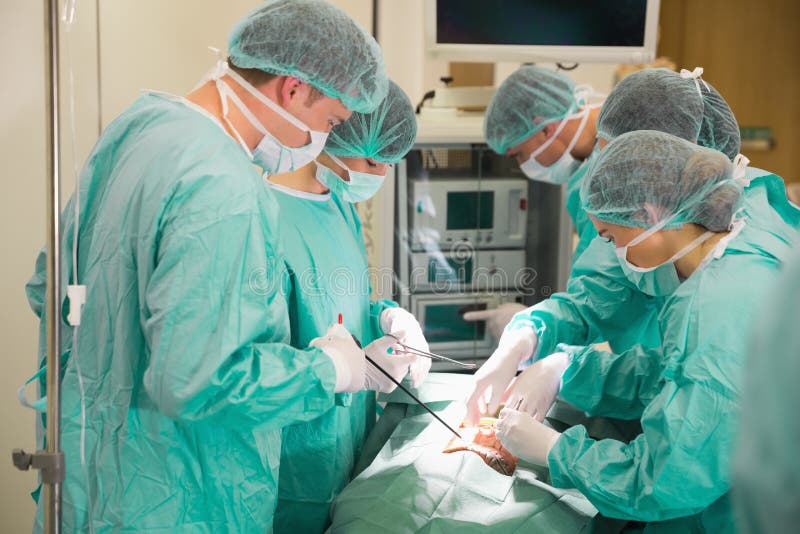 Medical Students Practicing Surgery on Model Stock Image - Image of ...