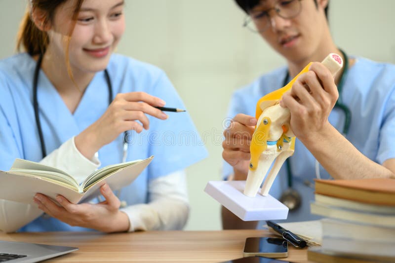 Medical Students in Scrubs Studying Anatomy with Joint Model on the ...