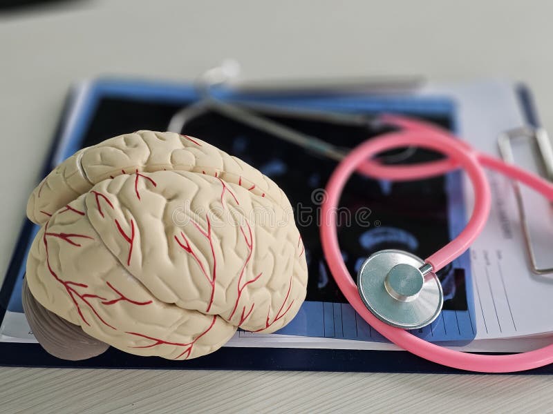 Medical Study Materials Featuring a Brain Model, Stethoscope Stock ...