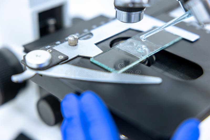 Medical Test Sample Under Microscope in Laboratory, Close Up, Scientist ...