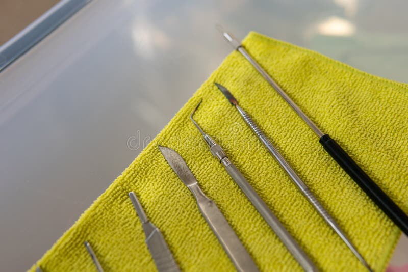 Medical Tool. the Use of a Metal Instrument in Mycology Stock Photo ...