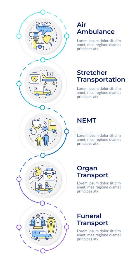 System Medical Infographic Infochart Stock Illustrations – 163 System ...