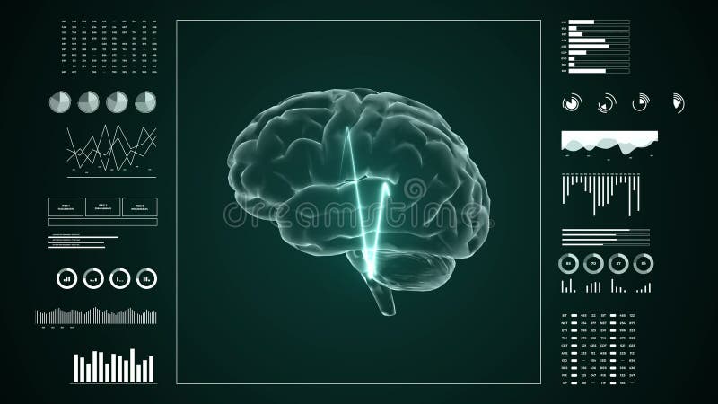 Anatomy Laboratory Stock Footage & Videos - 4,691 Stock Videos