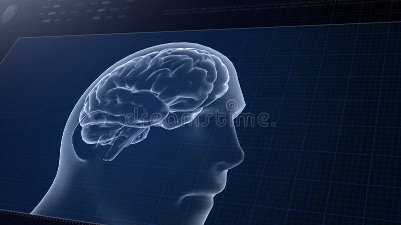 Focus on Human Brian, Study on Diagnostic Computer Display Stock Video ...