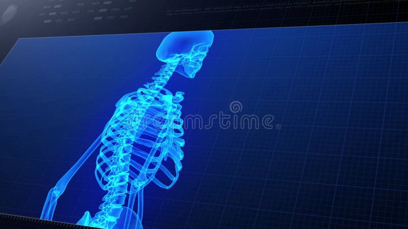 Human Body Skeleton Study on Diagnostic Computer Display Stock Footage ...