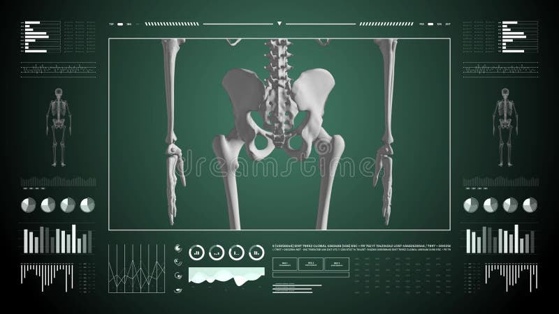 Human Body Skeleton Study on Diagnostic Computer Display Stock Footage ...