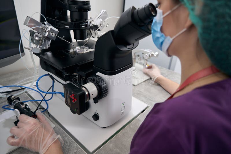 Medical Worker Examines Blood Samples on a Powerful Microscope Stock ...