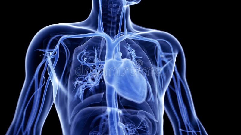 Beating heart stock footage. Video of heartbeat, feeling - 35178888